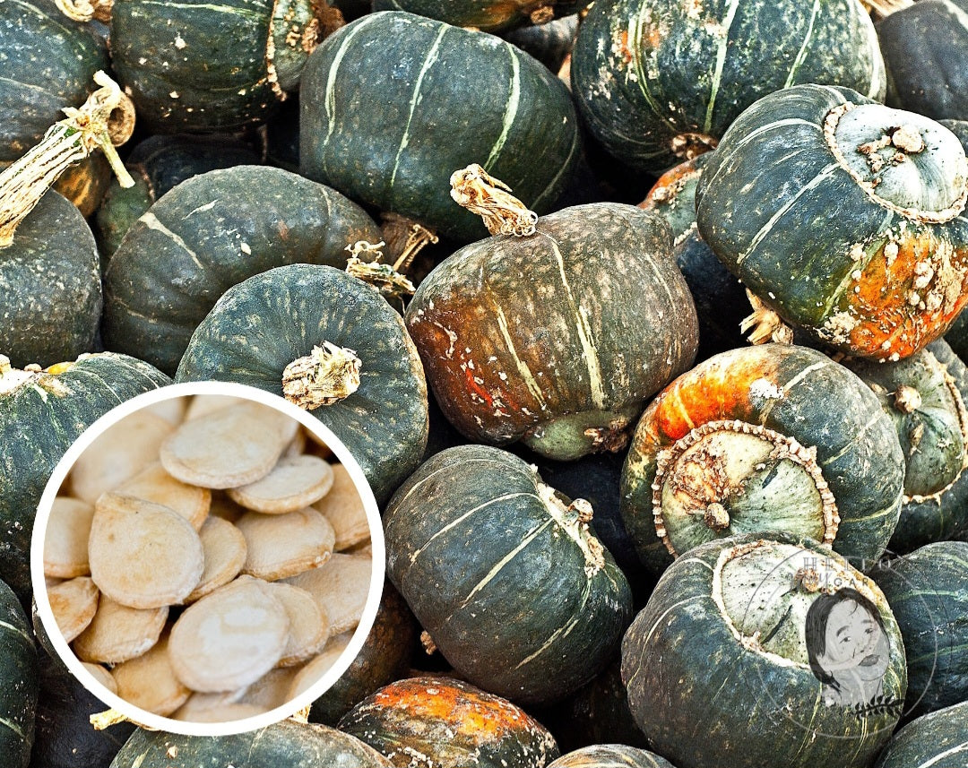 Burgess Buttercup Winter Squash Seeds Heirloom Non-GMO (25+ Seeds ...