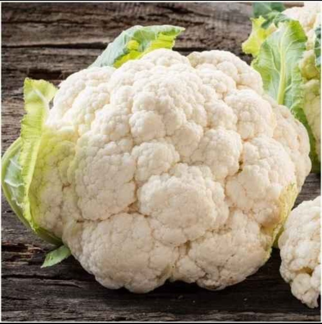 Cauliflower Snow Crown Starter Live Plants - 6 Seedlings – Hello May Garden
