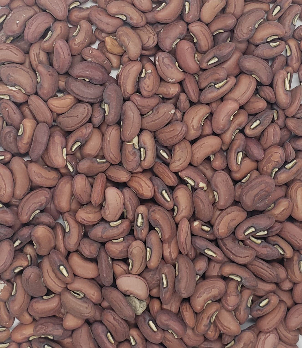 Red Yard Long Bean Seeds Heirloom Non-GMO (50+ Seeds) – Hello May Garden